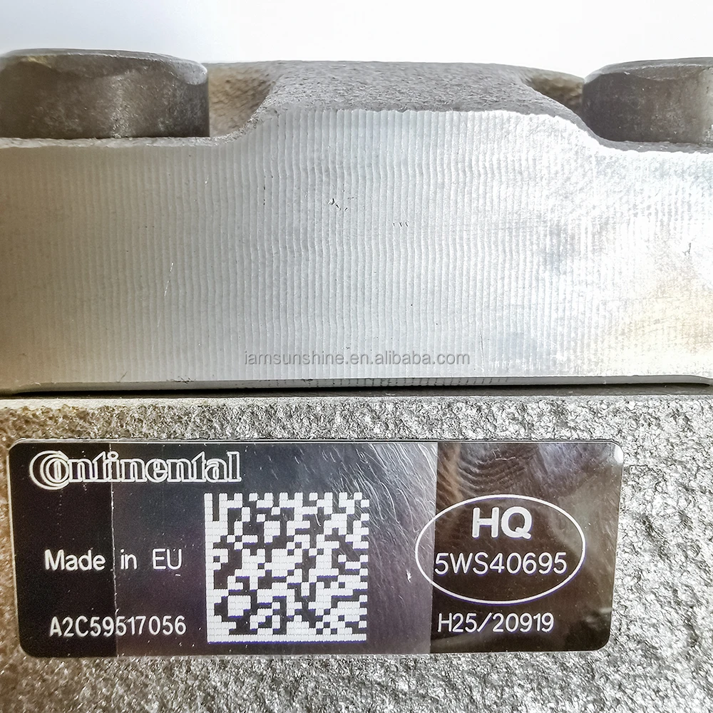 Original Fuel Injection Pump A2C59517043 for Diesel Engines