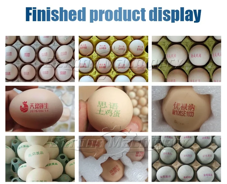 Automatic Egg Date Printer Printing Machine Egg Coding Machine| Alibaba.com