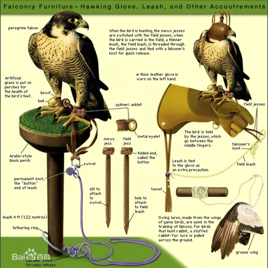 Falconry Perches Block Hard Grass Roll - Original Astroturf