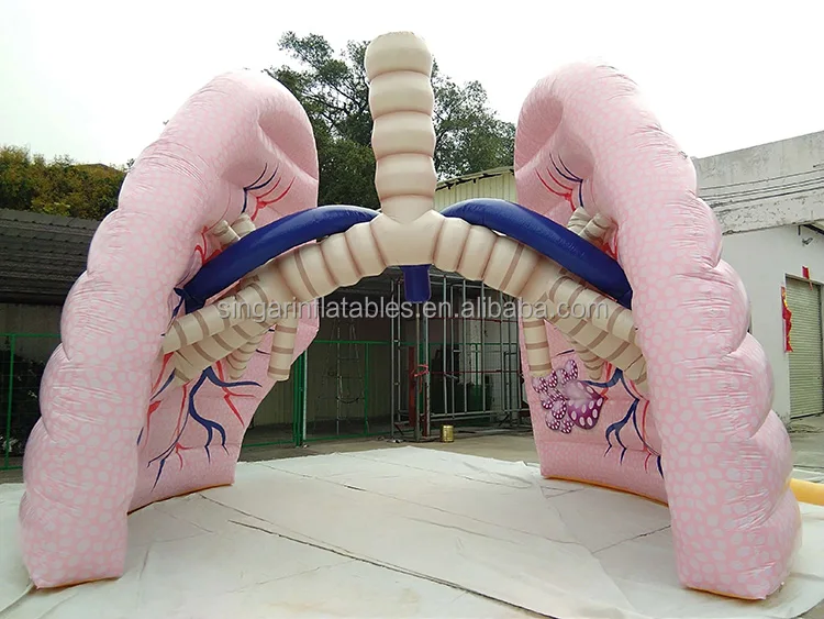 Inflatable Organ - Giant Inflatable Brain Model for Teaching