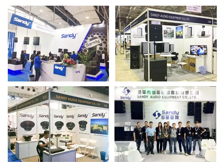 Sandy J10m Professional Powered Audio Line Array Speakers Oem