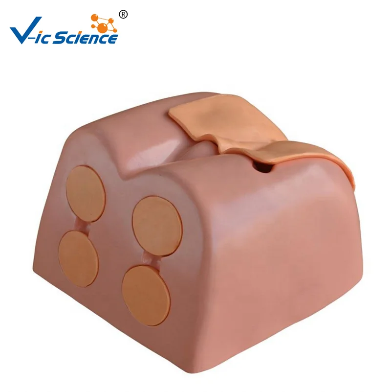 Prostate Examination Manikin Simulator for Medical Training