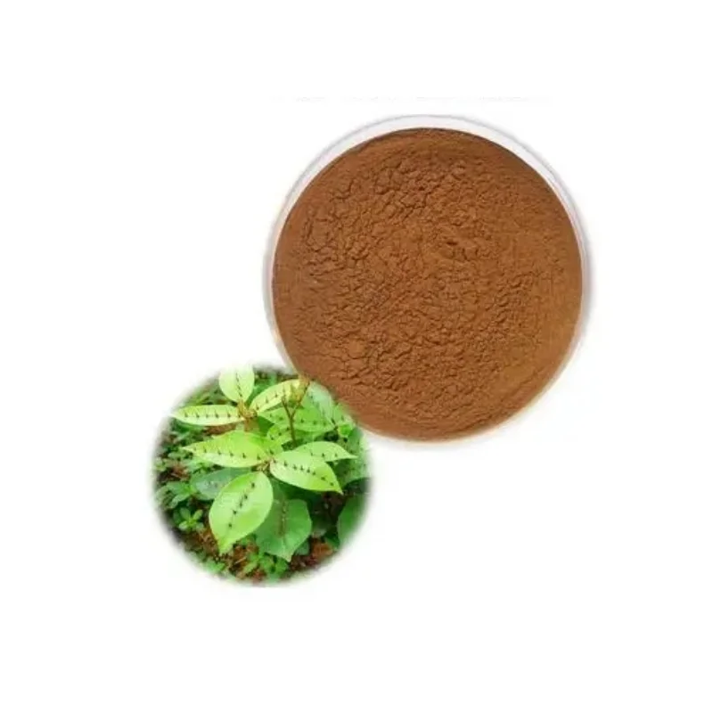 Extract Of Hymenium Nitifaciens Radix Zanthoxyli Radiator Plant - Buy ...