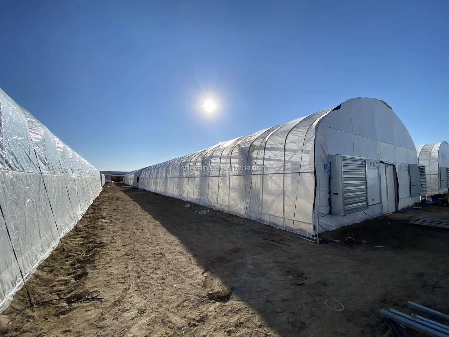 30 X 100 Greenhouse Buy 30 X 100 Greenhouse Product On Alibaba 30 X 100 Greenhouse Buy 30 X 100 Greenhouse Product On Alibaba