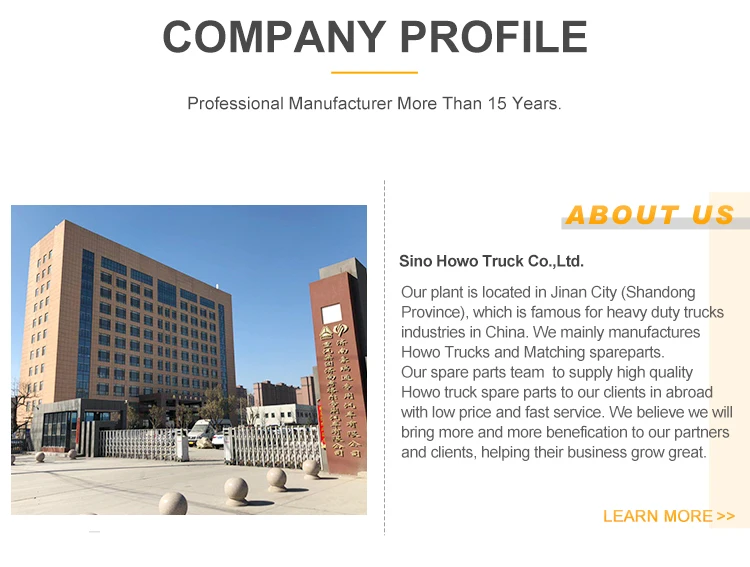 Howo Truck Door Assembly - Siontruk Spare Parts AZ1642210001