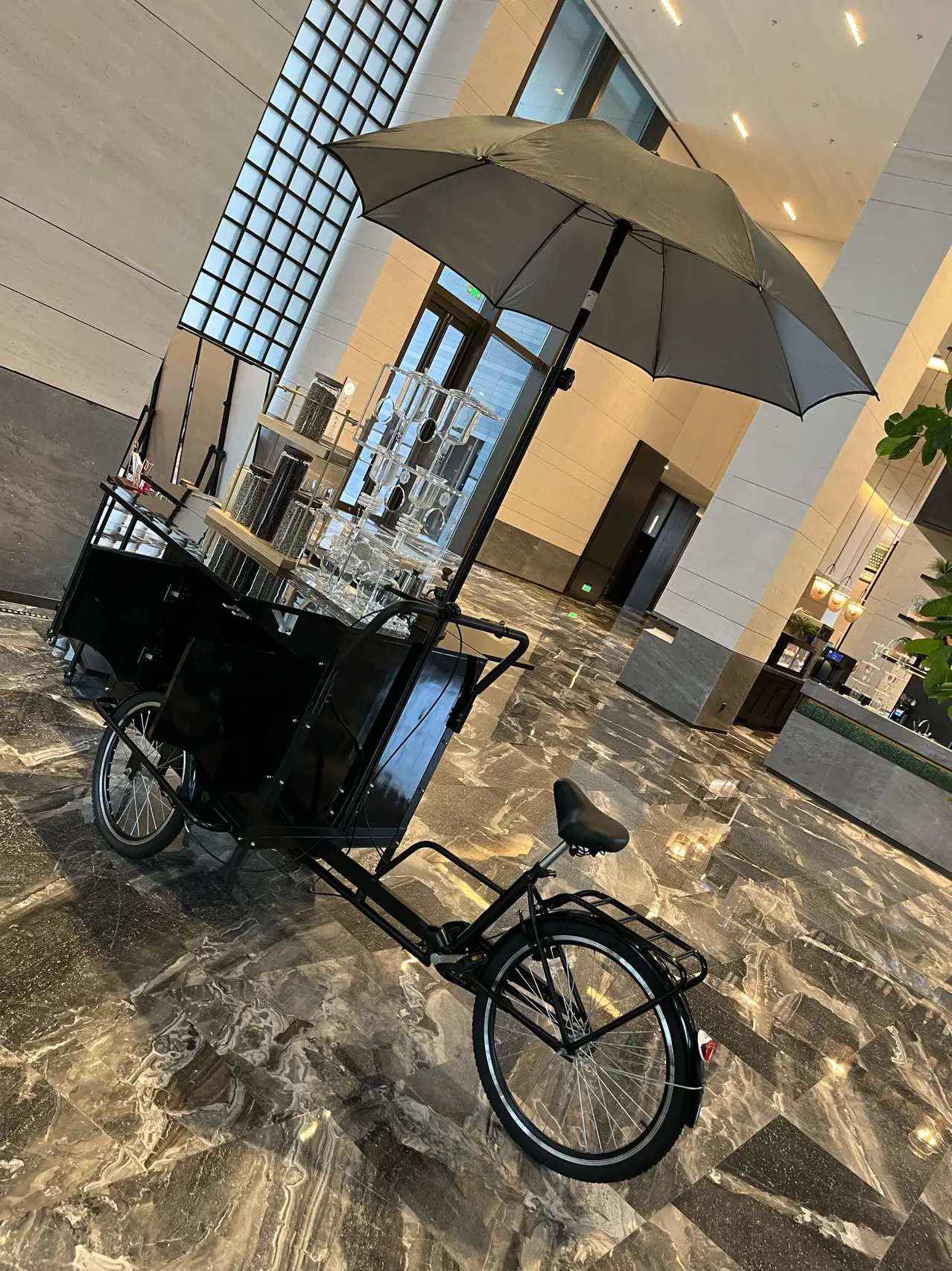 Tricycle Coffee Vending Cart - Buy Tricycle Coffee Vending Cart,Mobile ...