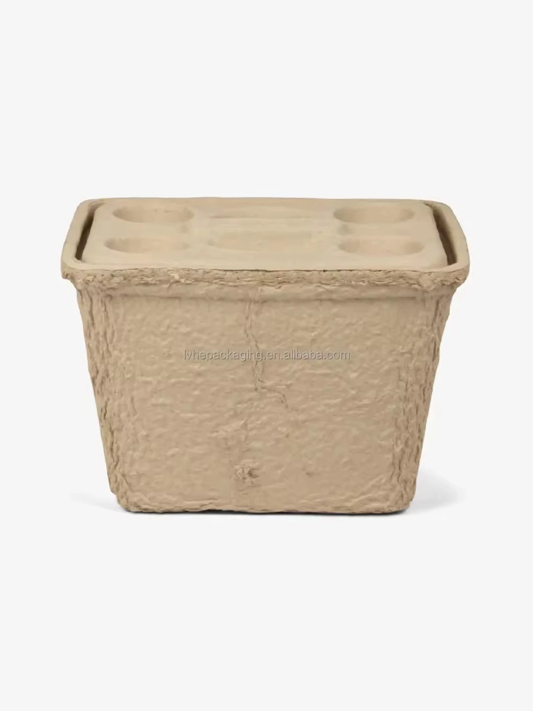 Customized 12L Eco-Friendly Biodegradable Pulp Storage Box Paper Ice ...