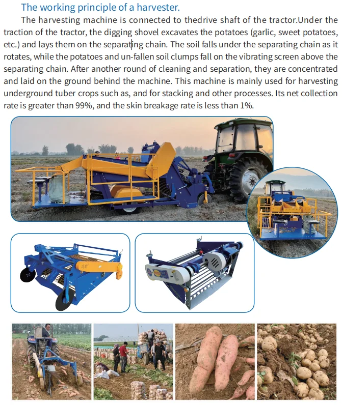 New Used Agriculture Ginger Onion Garlic Potato Harvester Digger ...