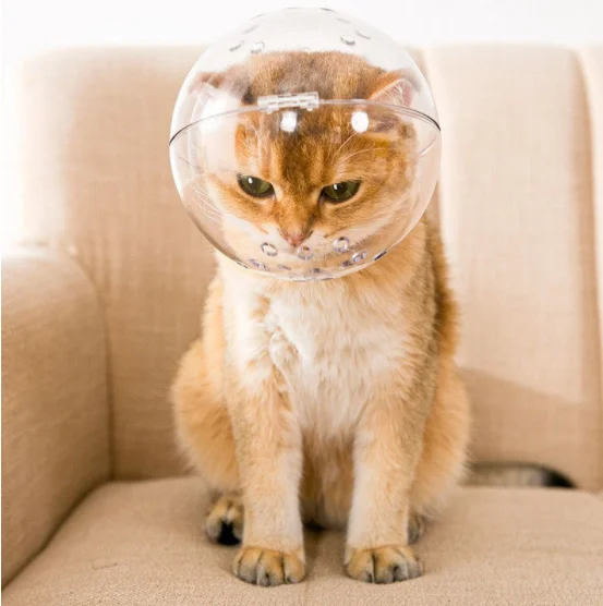 Hot Selling Breathable Anti-bite Protective Space Pet Grooming Mask Non ...