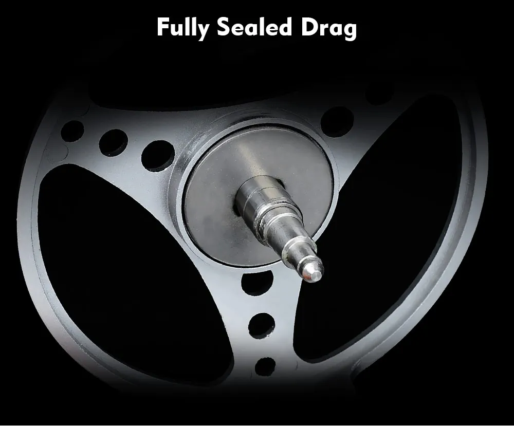 Proberos Fly Fishing Reel 2+1bb Large Arbor Alloy Aluminum ...