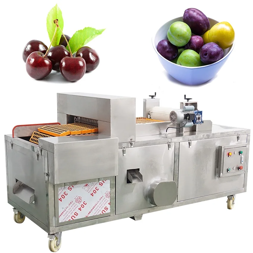 Automatic Indian Gooseberry Cleaning & Pitting Machine – Large Capacity ...