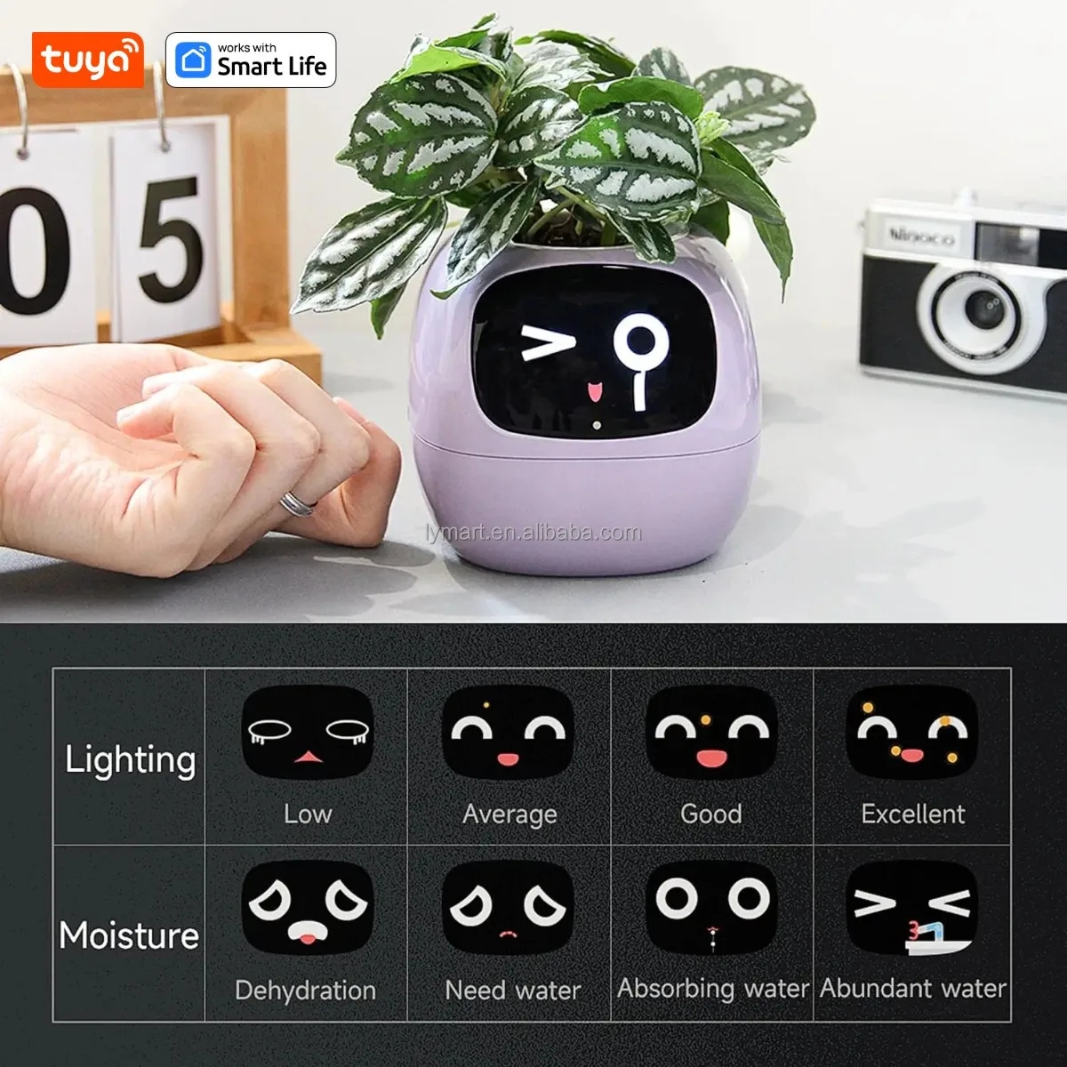 Tuya Wifi Ai Planter - Smart Hydroponics with Fun Expressions