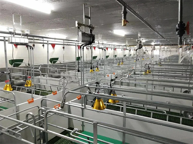 Hot Dip Galvanized PVC Panel Pig Birthing Cage Farrowing Crates for Pig ...