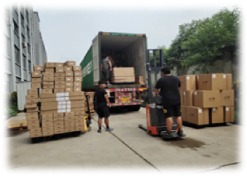 ZS New Upgrade Carbon Fiber Body Kits for PSM Type Carbon Fiber Side ...