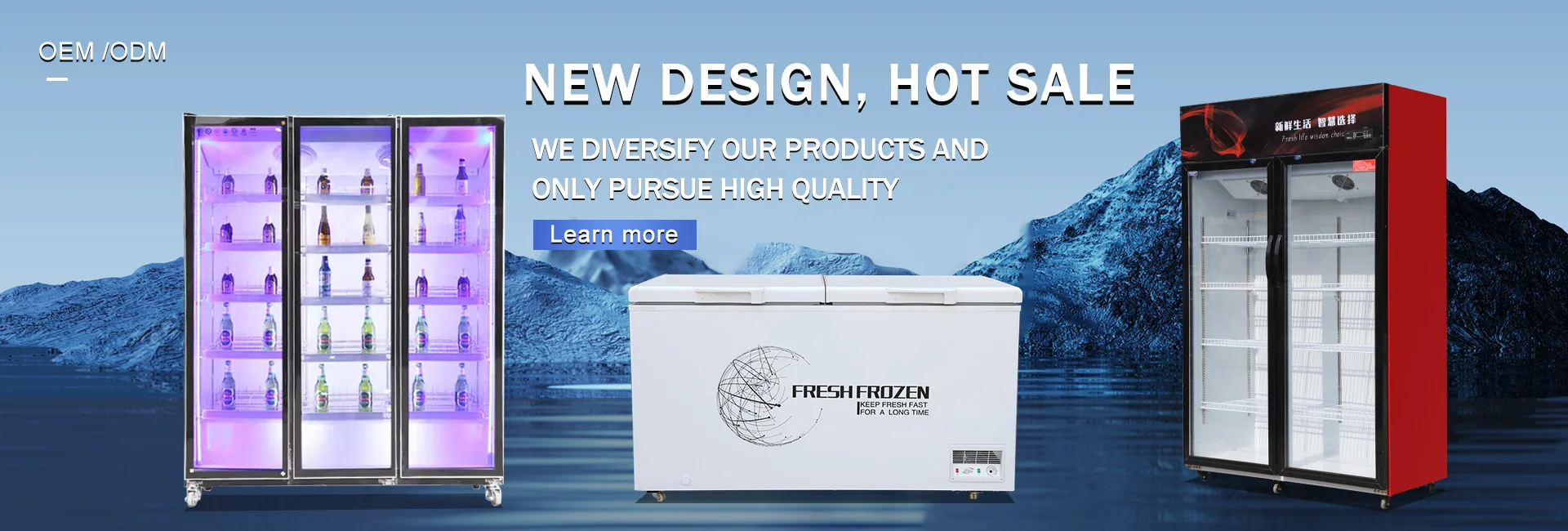 Shandong Shenglang Kitchen Co., Ltd. - Chest Freezer, Deep Freezer