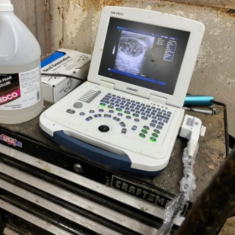 Cow Laptop Ultrasound Horse Sonar Scanner Rectal Probe Pregnancy Tester ...