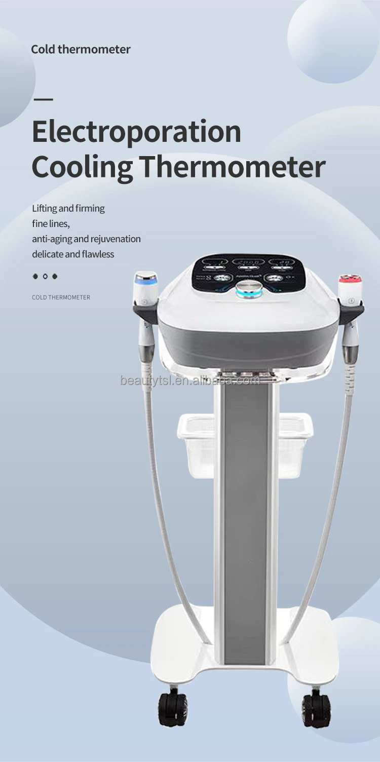 Electroporation Beauty Machines Facial Body Electroporator Mesotherapy ...