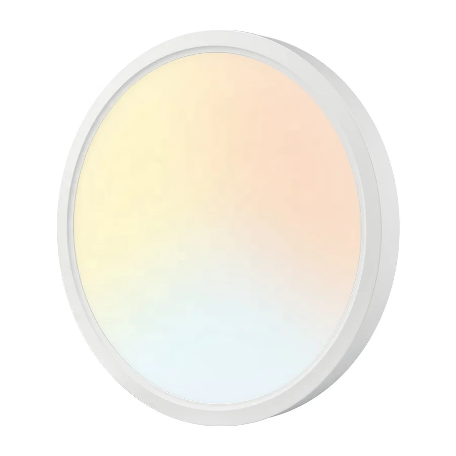 24w 36w Round Light Balcony Porch Foyer Fixture Surface Mount Flush ...