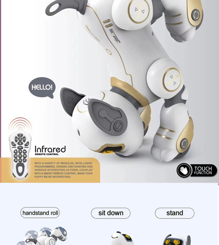 Programmable Smart Remote Control Dancing Robot for Kids