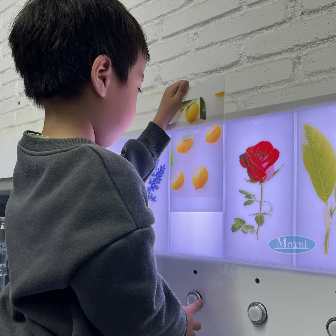 Multi Sensory Environment Olfactory Stimulation Panel