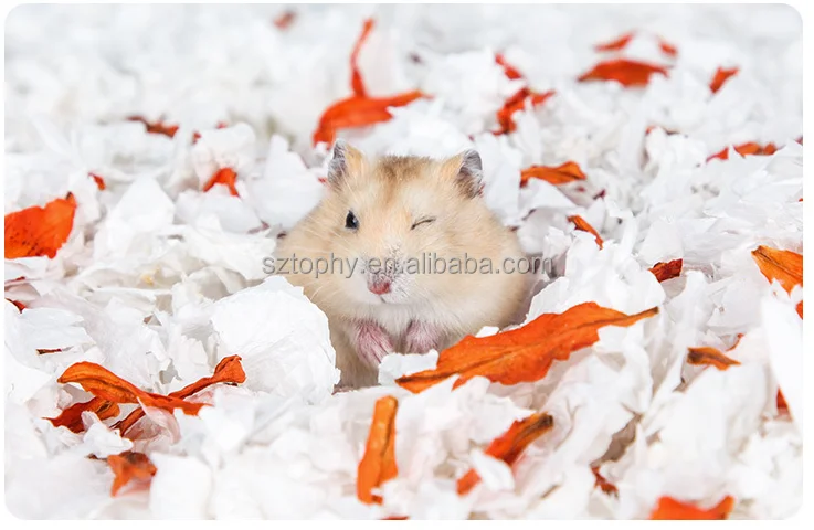 No Dust No Fade Pet Natural Paper Hamster Based Bedding Hamster Pellets ...