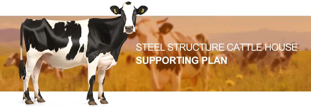Modern Design Steel Structure Cow Cattle Dairy Milking Farm Shed ...
