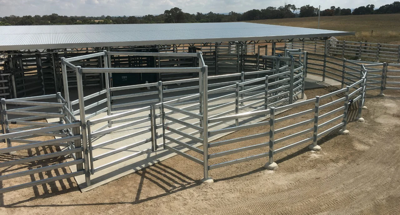 Heavy Duty Cattle Handling Equipment & Vet Cage for Livestock
