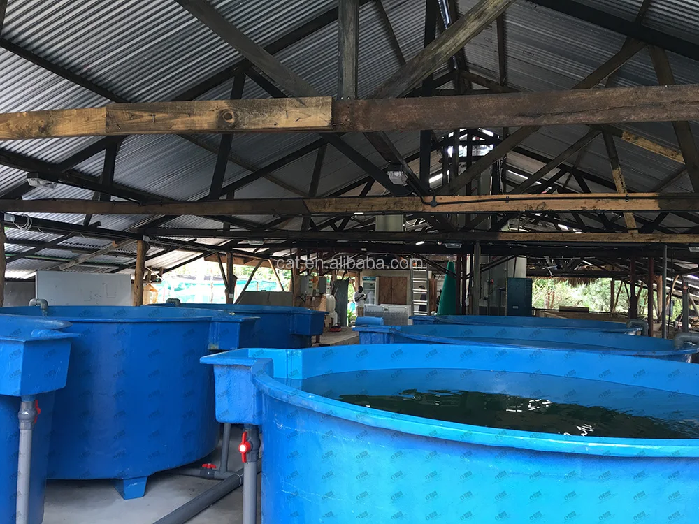 CATAQUA Ras Tilapia Fish Farming Equipment - Biofloc Tank Design