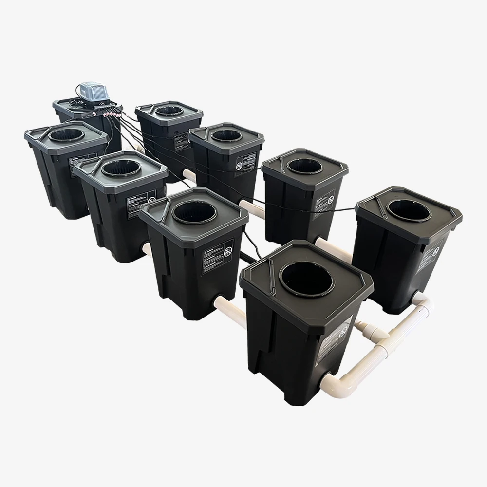 RDWC 8 Buckets Hydroponic System - Efficient Vegetable Growth