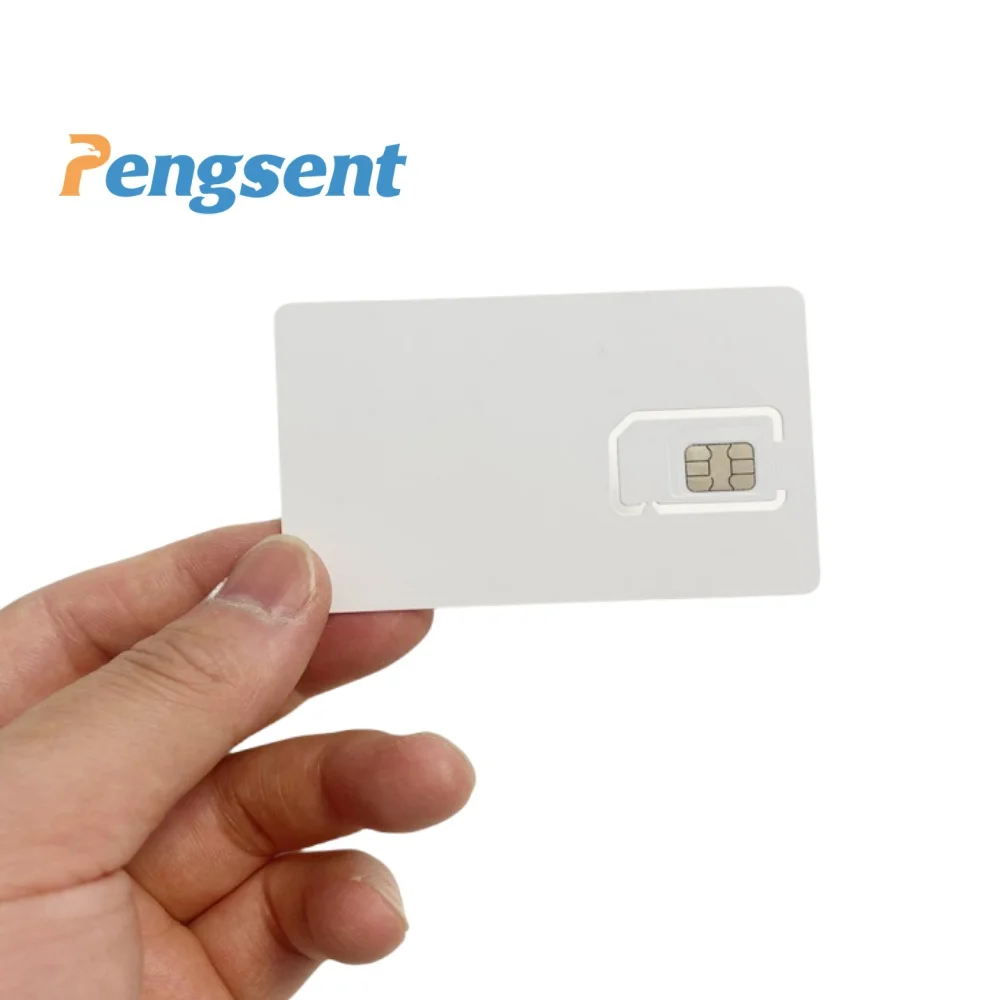 Pengsent 2g&3g&4g Simcard Blank 4g Lte Sim Card - Buy Blank 4g Lte ...