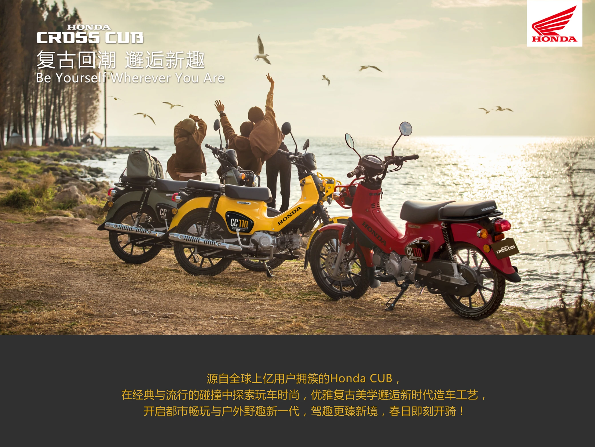 Hot Cross Cub Cc110 Blade Wave Rsf Wave110i Motorcycle - Buy Honda Cub ...