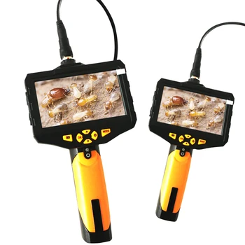 Video Termite Detector Termites Hazard Monitoring With Endoscope Lens ...