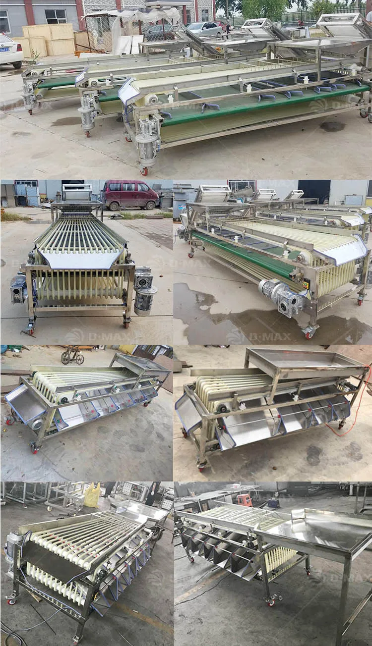 Hierarchical Size Adjustable Melon Avocado Sorting Machine Fruit Tomato ...