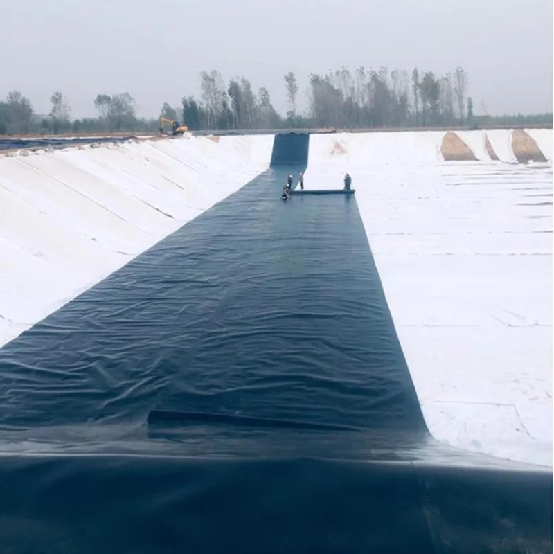 China Factory Waterproof PVC HDPE LDPE Geomembrane for Canal and ...