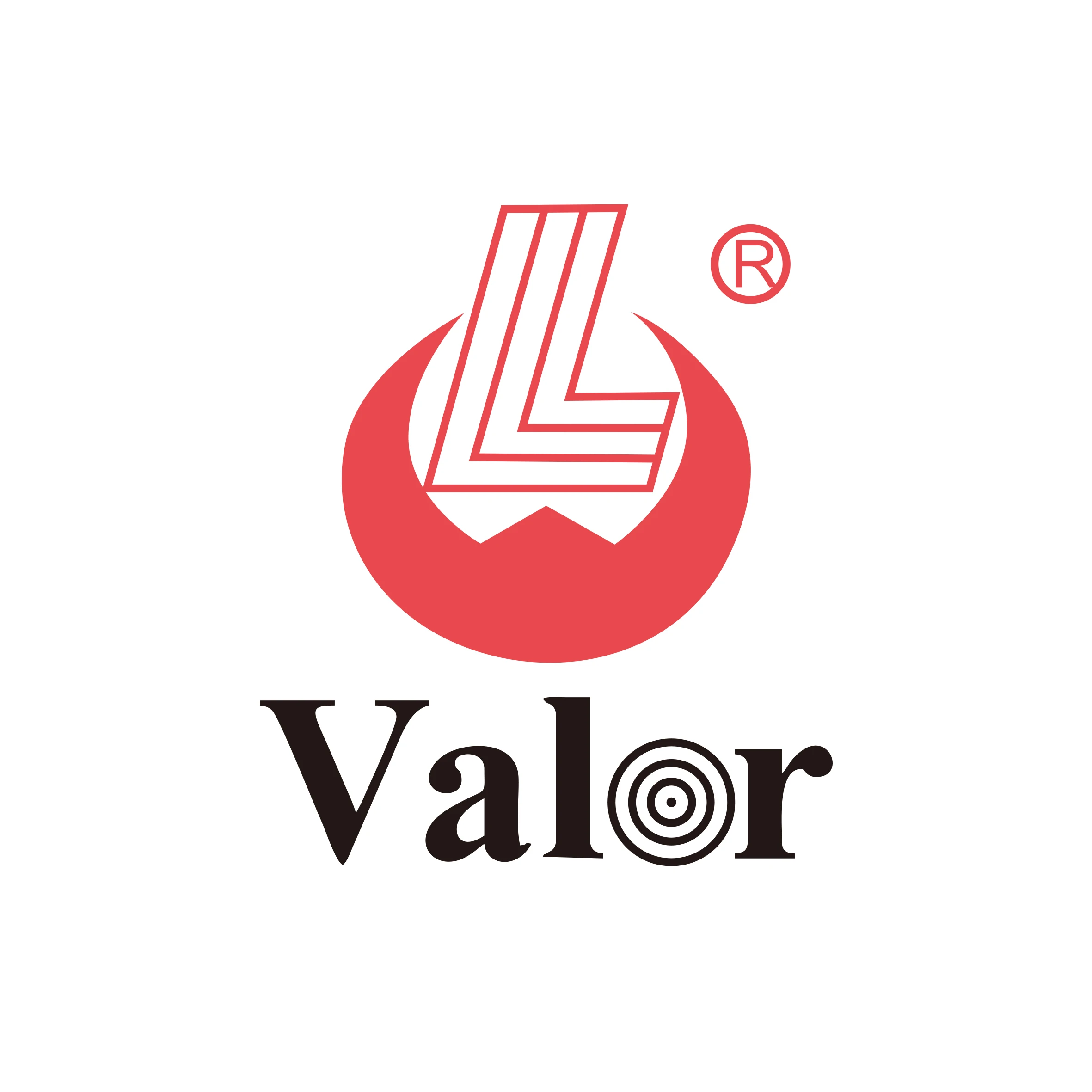 Company Overview - Pujiang Valor Lock Co., Ltd.