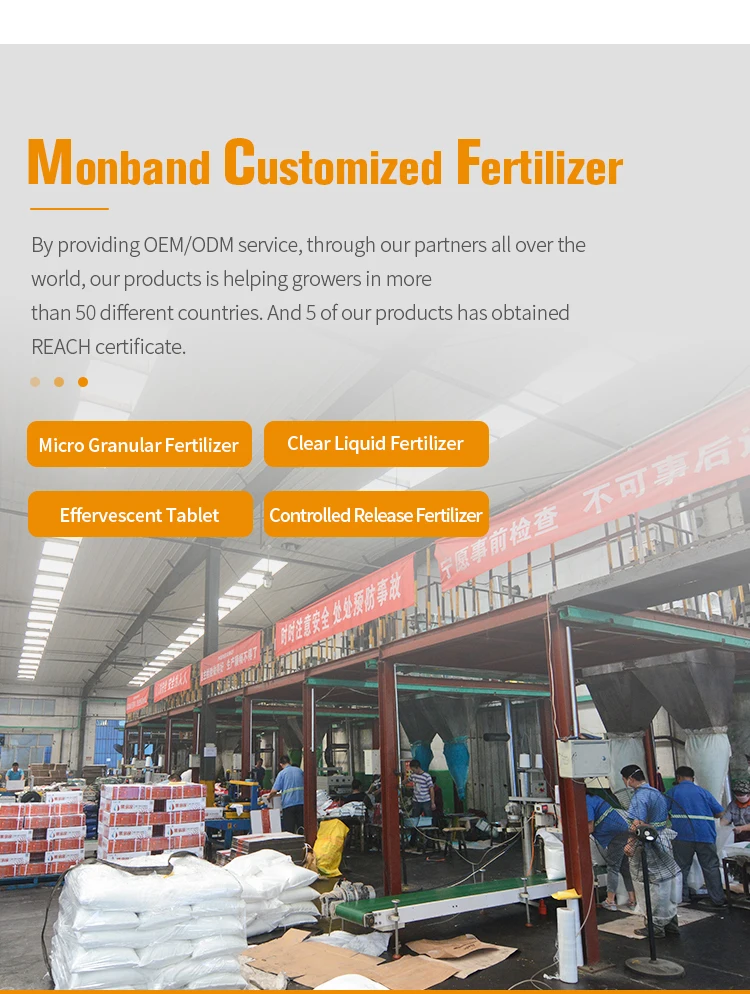 Calcium Nitrogen CAN 15.5-0-0+19ca Fertilizer for Agriculture