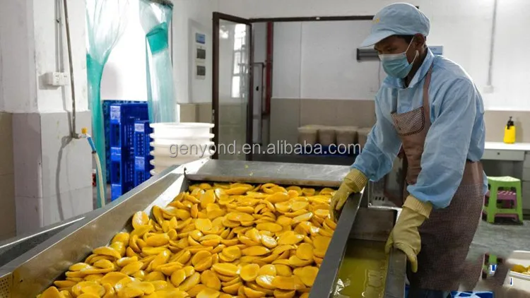 Efficient Mango Slicing Machine by Genyond - High Capacity