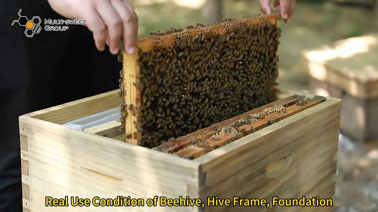 Langstroth Unassembled Pine Wood Foundation Frame Wooden Bee Hive Brood ...