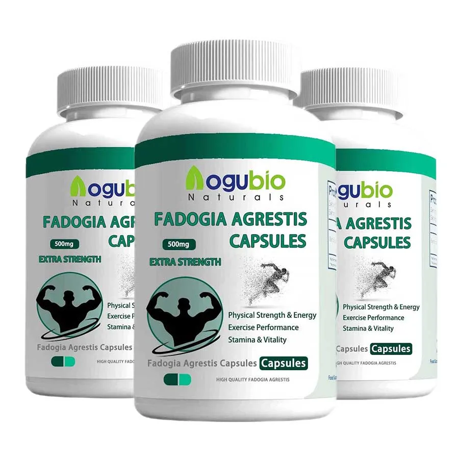 Herbal Supplement 500mg Fadogia Agrestis Capsules - Buy Fadogia ...