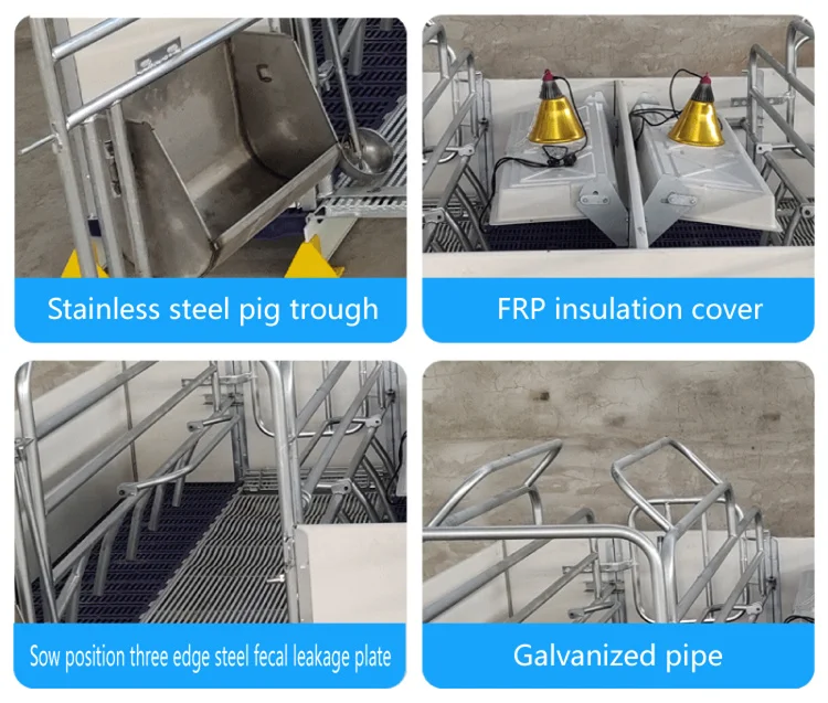 High-Quality Sow Birthing Pen - Durable Farrowing Stalls for Pig ...