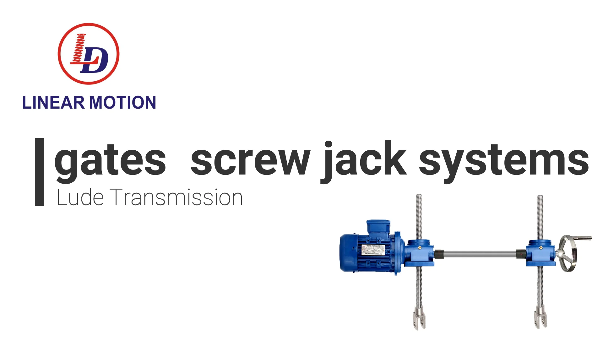 Worm Gear Screw Jack Suitable For Various Gates Applicable Industries ...