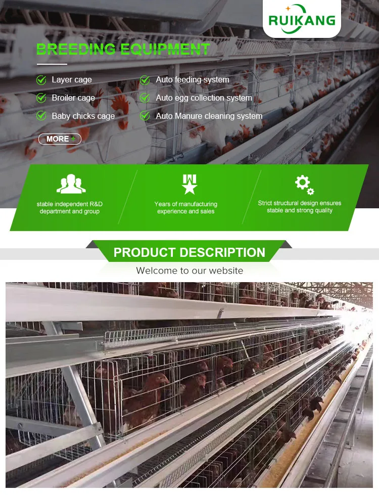 Automatic Poultry Cage System Battery Egg Layer Chicken Cages For ...
