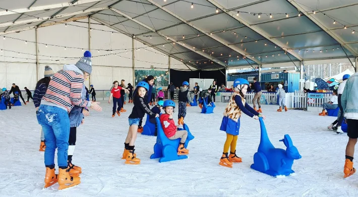 Beginner Dolphin Ice Skating Helper Aids for Children - Safe Learning ...