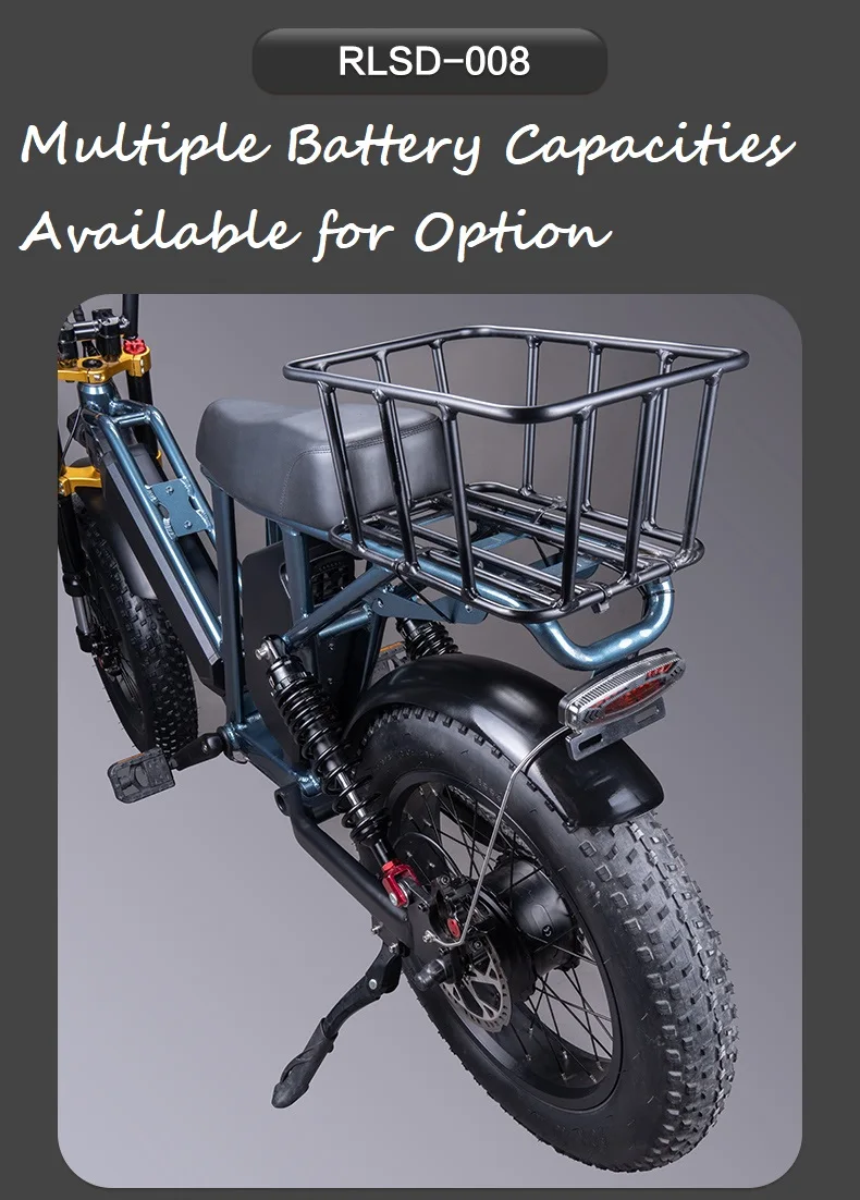 20 Inch Fat Tire Snowfield Electric Bike With Dual Batteries Rear Cargo ...