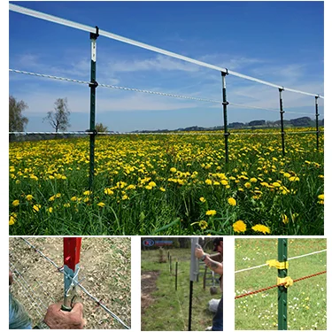 American Farm 6 Ft T-post Steel Studded T Post Metal T Farm Fence Posts ...