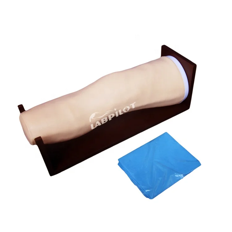 Knee Joint Cavity Puncture And Articular Injection Training Simulator ...