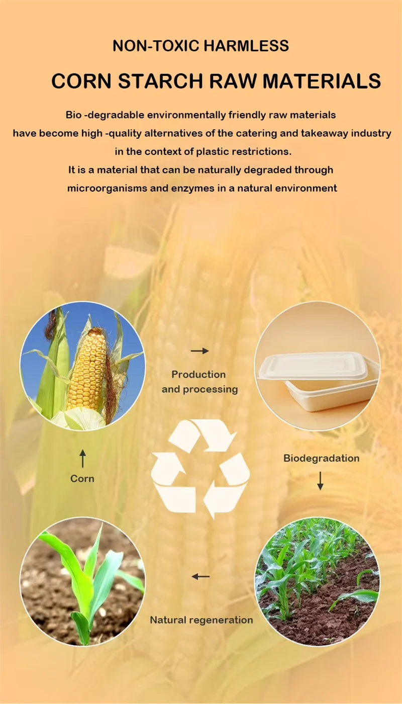 850ml Compostable Disposable Corn Starch Food Container Cornstarch ...