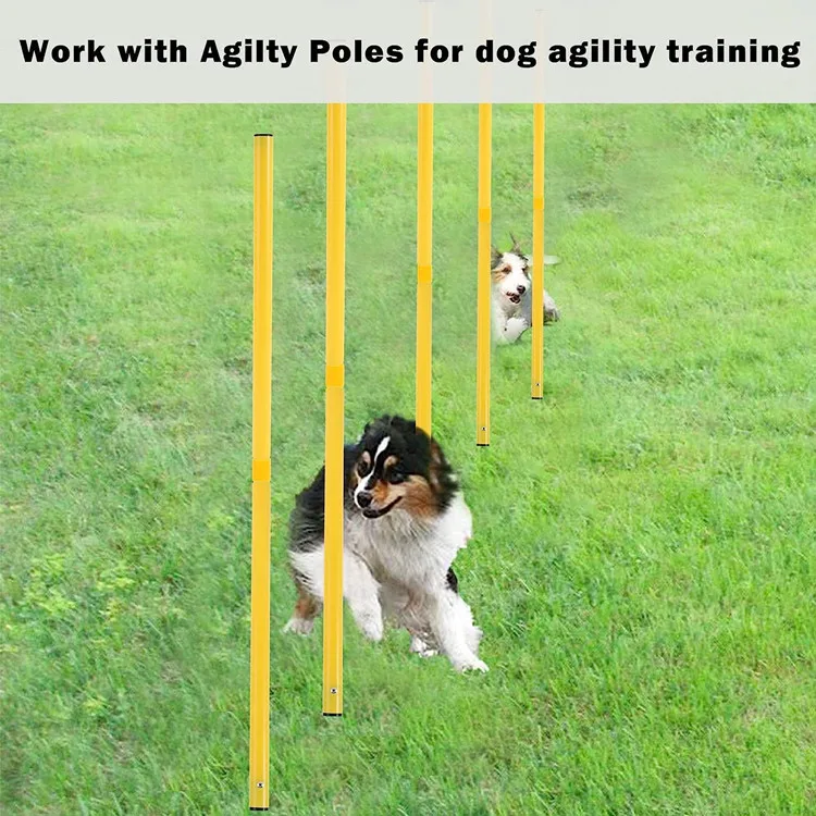 Wholesale Soccer Training Poles - Enhance Your Football Skills