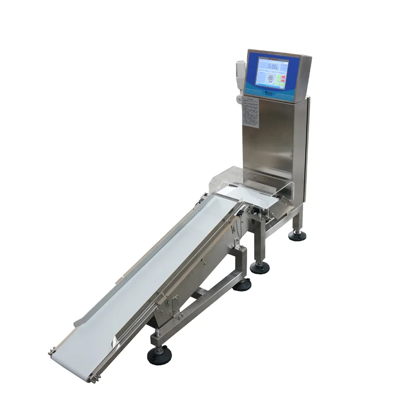 Conveyor Belt Weighing System - Precision & Efficiency