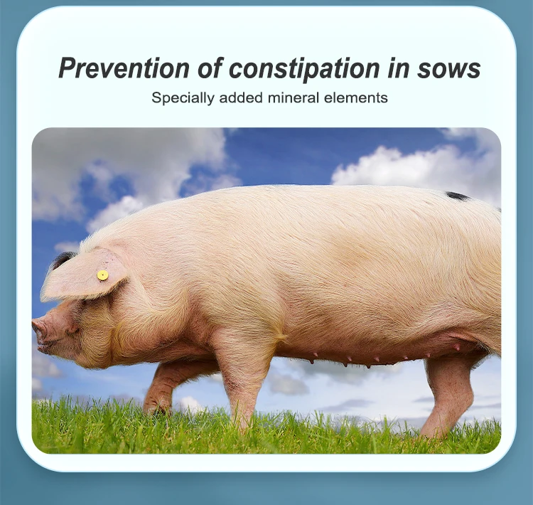 Cheap Best Quality Pig Premix Compound Premixed Feed For 4% Pregnant ...